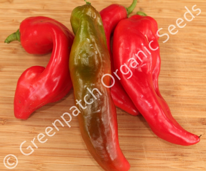 Capsicum Seeds - Greenpatch Organic Seeds