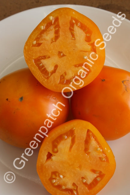 Golden Jubilee Tomato Seed - Greenpatch Organic Seeds
