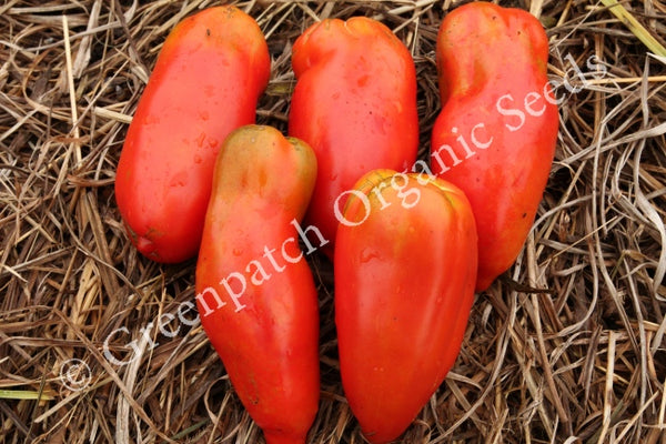 Donella's Superb Tomato Seed - Greenpatch Organic Seeds