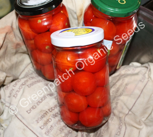 Tommy Toe Tomato Seed - Greenpatch Organic Seeds