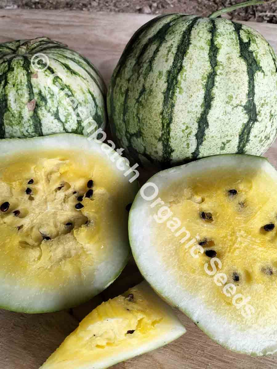 Watermelon Seed - Red and Golden Varieties - Greenpatch Organic Seeds