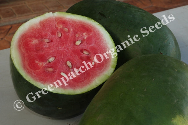 Watermelon Seed - Red and Golden Varieties - Greenpatch Organic Seeds